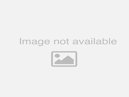 Used cars in Certified - Toyota U Trust